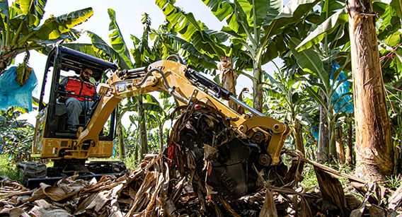 Venta de equipos Caterpillar, Renta de equipos Caterpillar